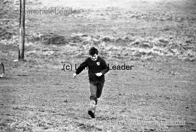 Ballinacurra, plane fields, horse riding, Baggot Estate. | From ...