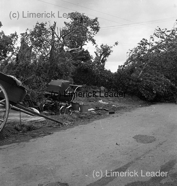Travellers camp at Singland July 1970 | From Limerick With Love