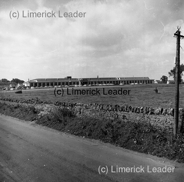 Krups Factory Rathbane 7-July 1970 | From Limerick With Love