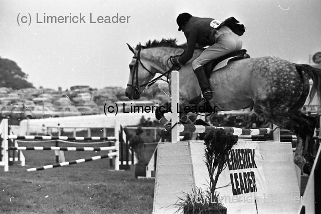 Limerick Horse Show | From Limerick With Love