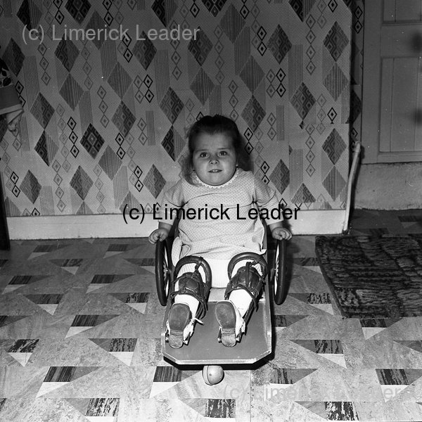 Miss Ryan Wolftone Tce | From Limerick With Love