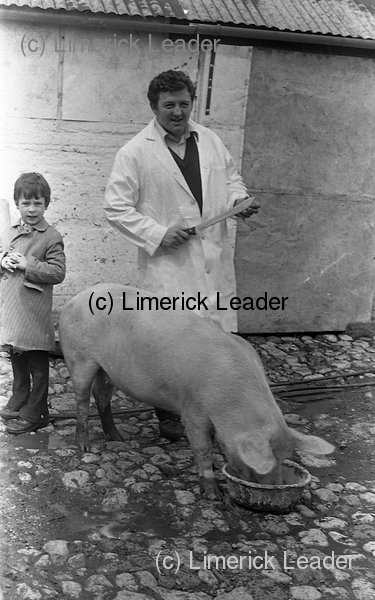 Mr David Sammon Newcastlewest with festival pig May 1976 | From ...